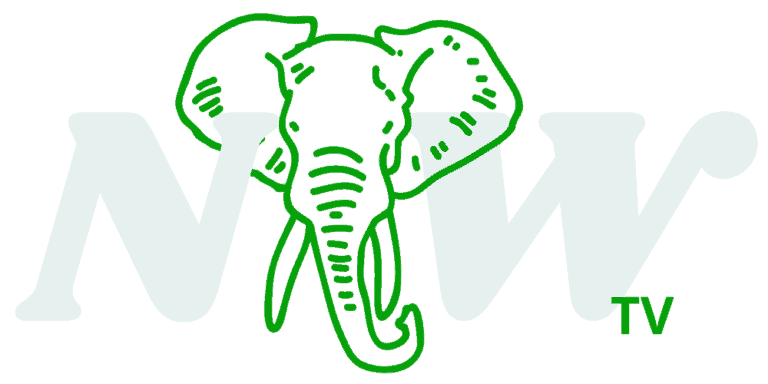 15 Fascinating Flightless New Zealand Birds (Photos) – Nature and ...